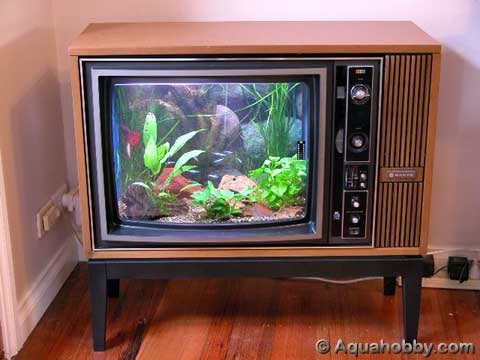 26" TV - Fish tank - Make: