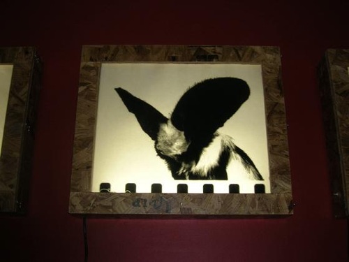 HOW TO - Wall mounted light box - Make: