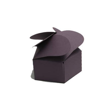 Five-Sided Paper Box - Make: