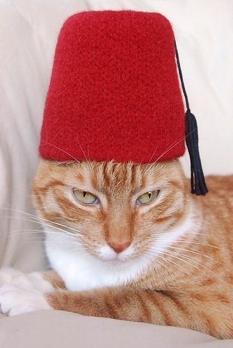Felted Cat Fez Pattern - Make: