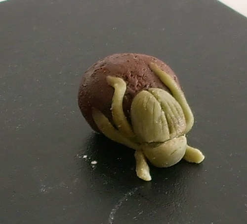 HOW TO - Dung Beetle Truffles - Make: