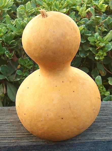 HOW TO - Clean Hard-Shell Gourds - Make: