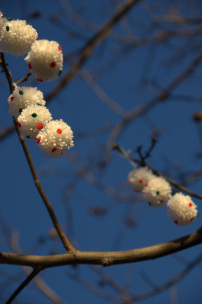 A.M. Eye Candy - Pom-Pom Trees - Make: