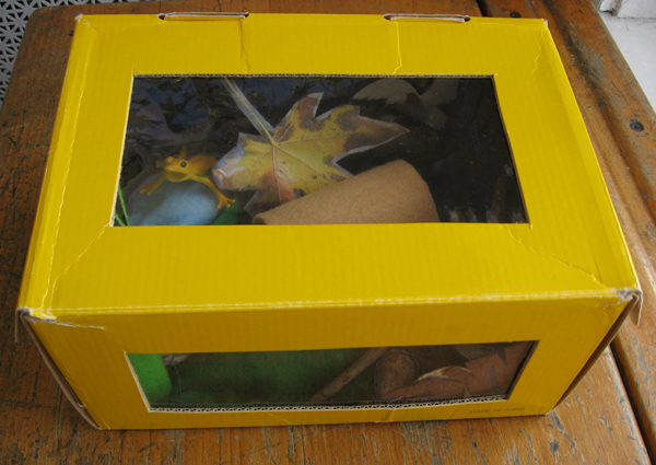 HOW TO - Toy Terrarium - Make: