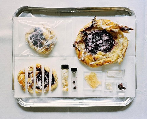 Pastries Dissected - Make: