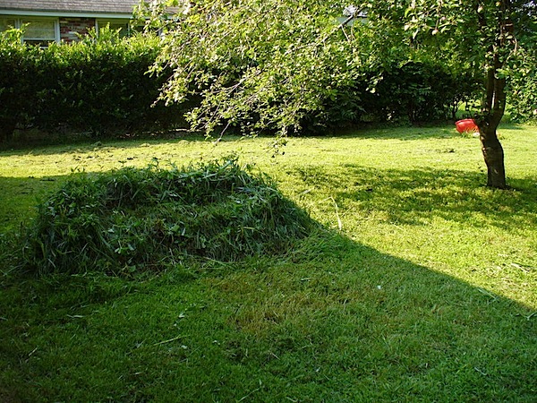 Grass Couch - Make: