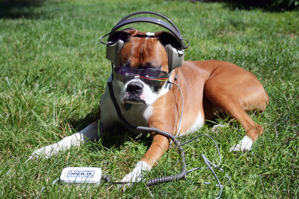 Dog days of summer sale: Brain machine kit - Make: