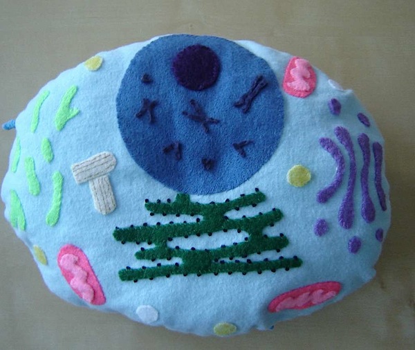 Plush Cell Model - Make: