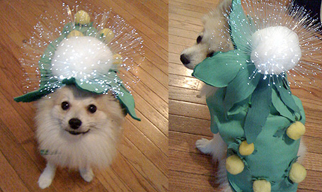 Light-Up Dog Costumes - Make: