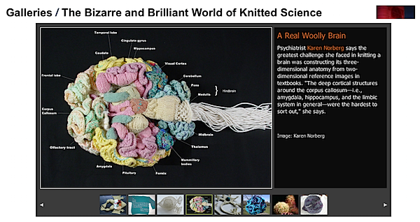 Discover Rounds Up Knitted Science - Make: