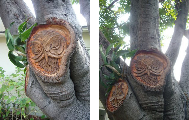 Topanga Canyon Tree Wizard - Make: