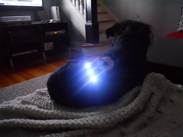 Light-up Hoodie for Dog - Make: