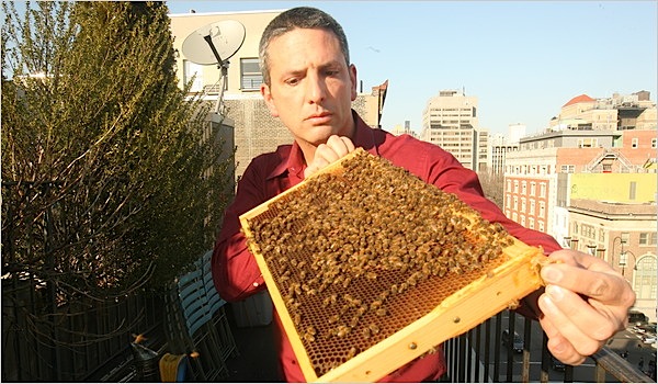 NYC Beekeeping Ban Lifted - Make: