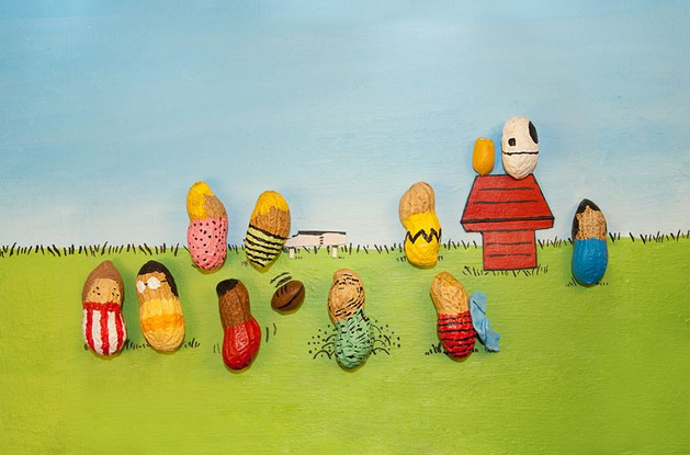 Real Peanuts - Make: