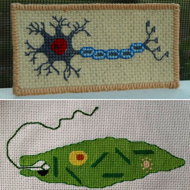 Scientific Stitchery From The Voracious Brain - Make: