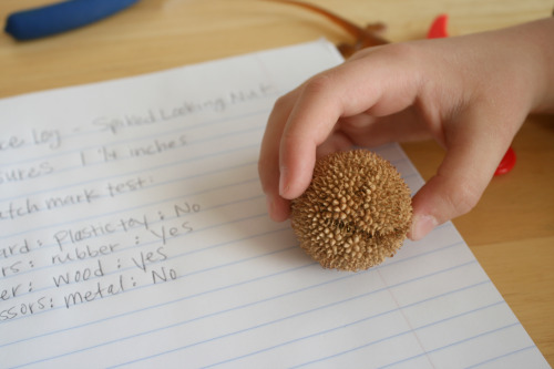 How-To: Starting a Science Observation Journal - Make: