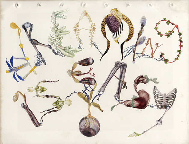 Alexis Anne Mackenzie - Make: