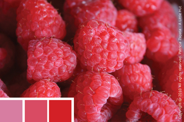 Creating Color Palettes through Photos - Make: