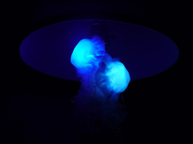 How-To: LED Throwie Jellyfish - Make: