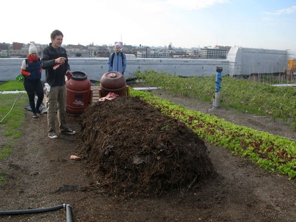 Compost Sites in Western Queens - Make: