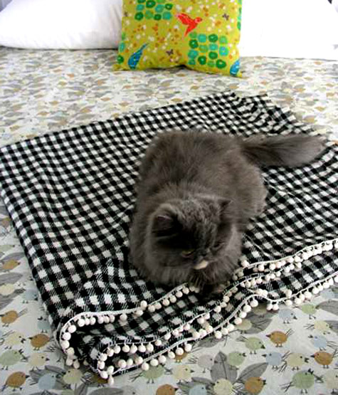 How-To: Easy Wool Throw - Make: