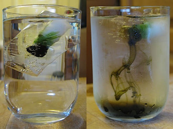 Frozen Colored Ice for Cocktails - Make: