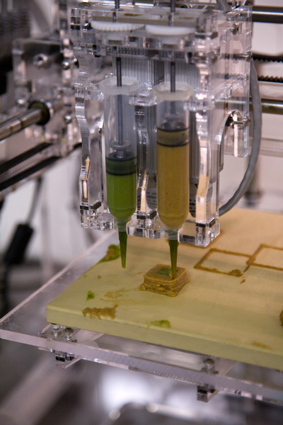 Printed Food - Make: