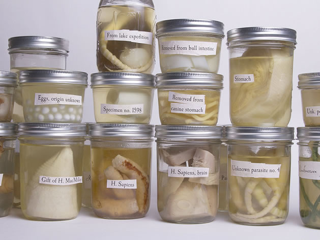 How-To: Specimen Jars - Make:
