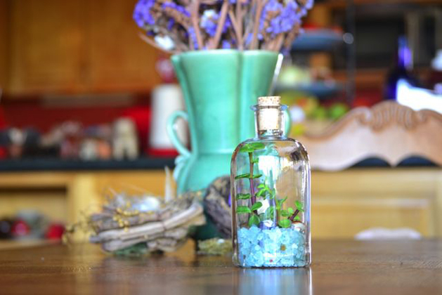 Potted Terrarium Contest - Make: